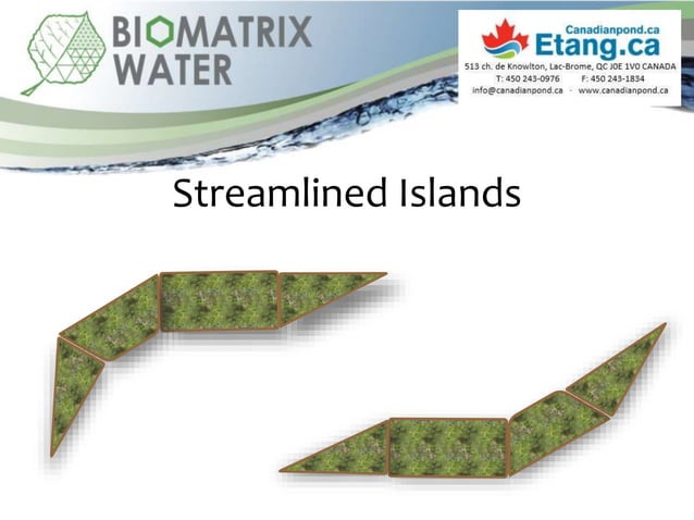 Biomatrix Floating Island Ecosystems - Islands Shapes 2016 | PPTX ...