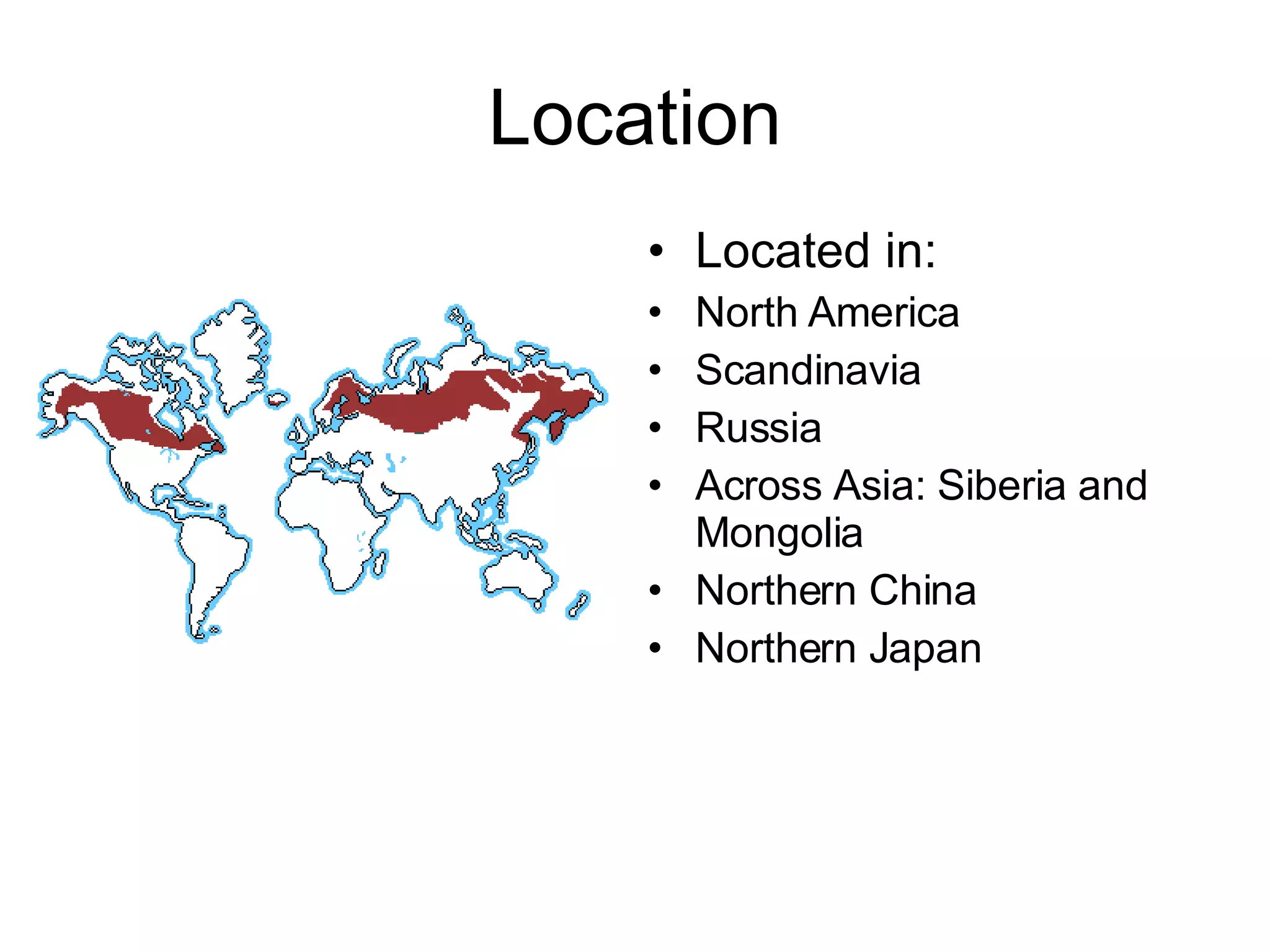 IB Geography - Ecosystems. Biomes - Taiga aka Coniferous forest | PPT