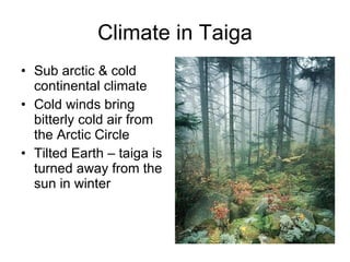 IB Geography - Ecosystems. Biomes - Taiga aka Coniferous forest | PPT
