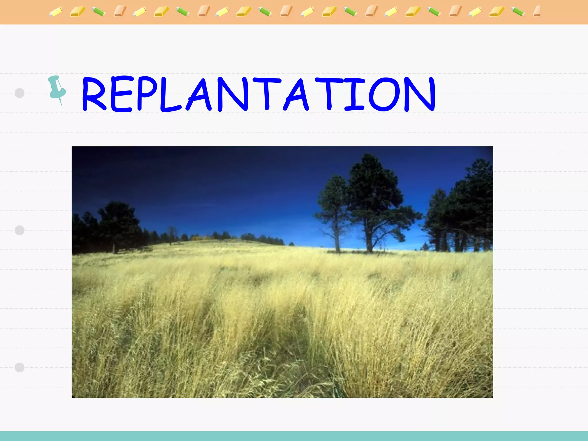Biome Savannah Presentation | PPT
