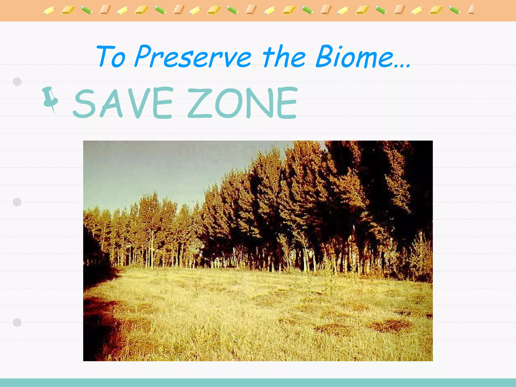Biome Savannah Presentation | PPT