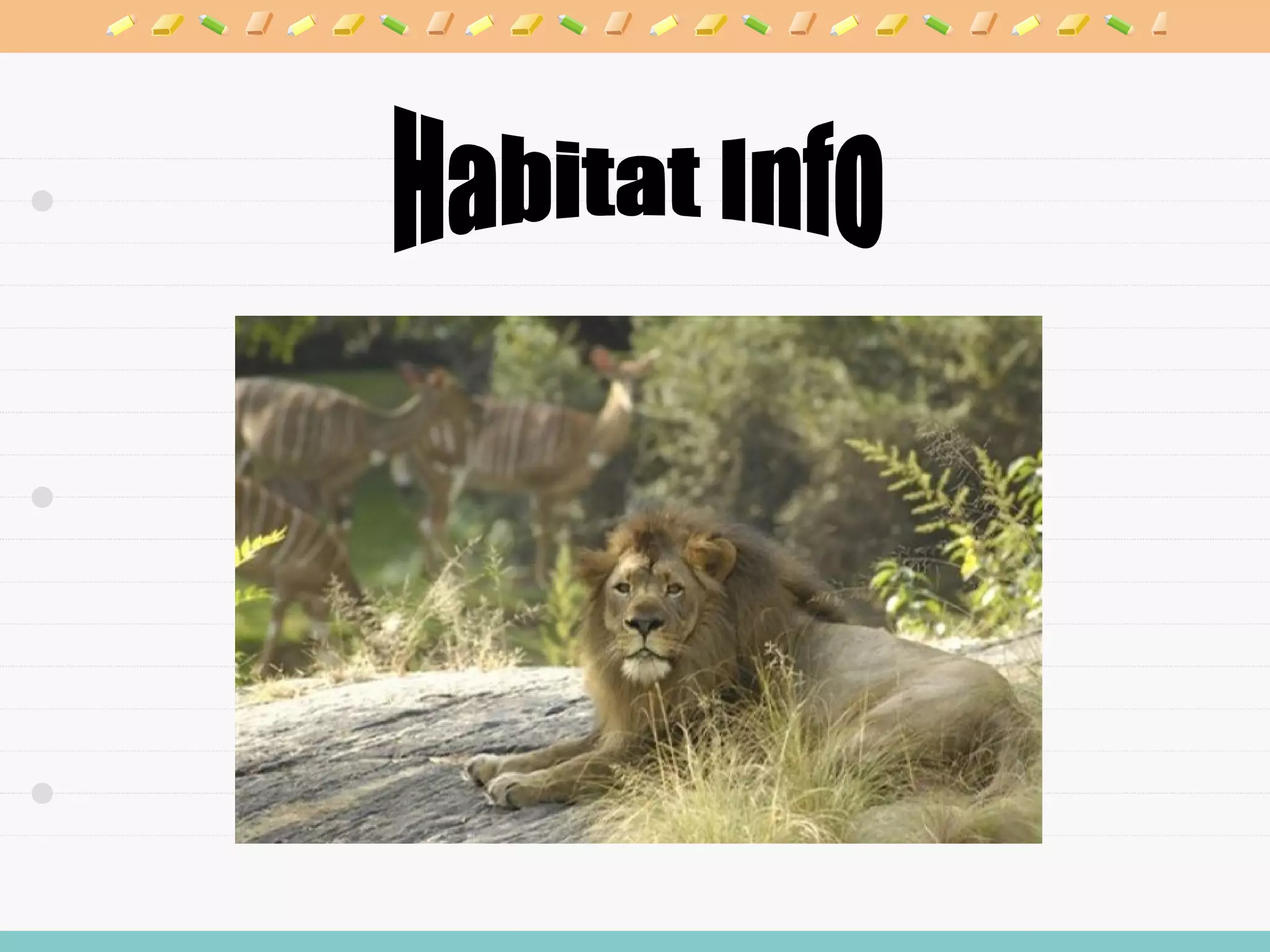 Biome Savannah Presentation | PPT