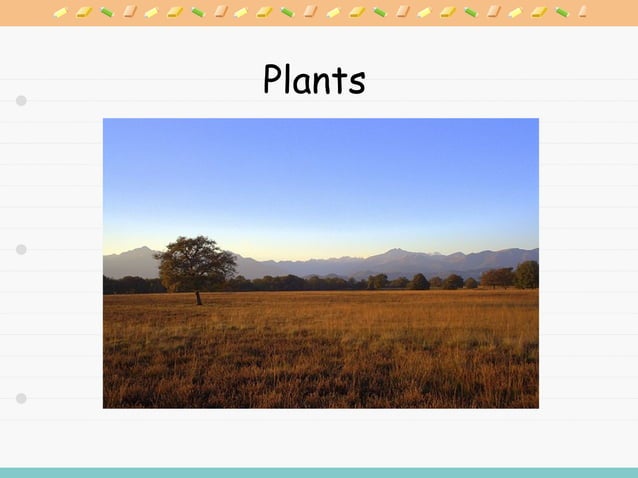 Biome Savannah Presentation | PPT