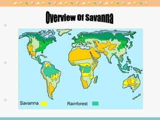 Biome Savannah Presentation | PPT