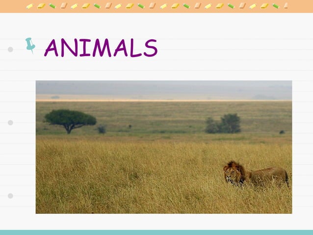 Biome Savannah Presentation | PPT