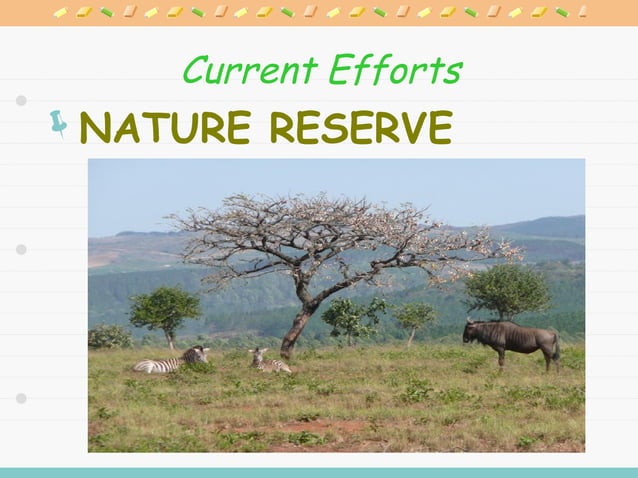 Biome Savannah Presentation | PPT