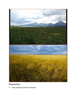 DIFFERENT BIOMES HABITATES | DOCX