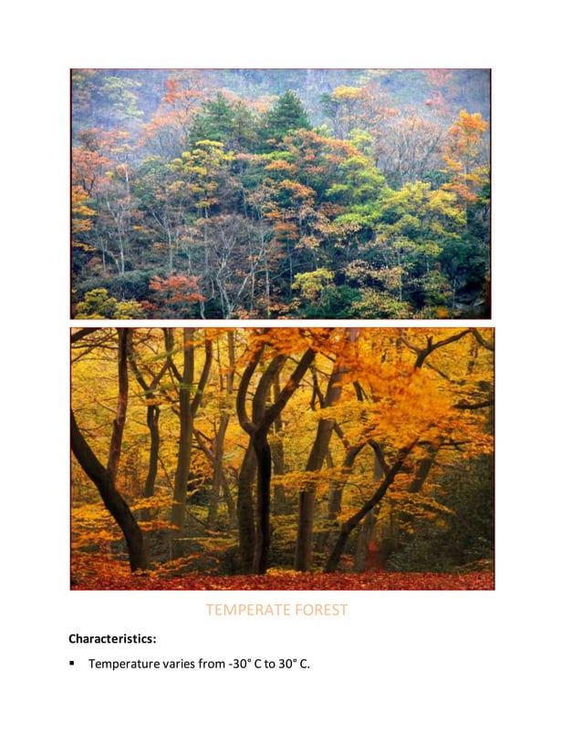 DIFFERENT BIOMES HABITATES | DOCX