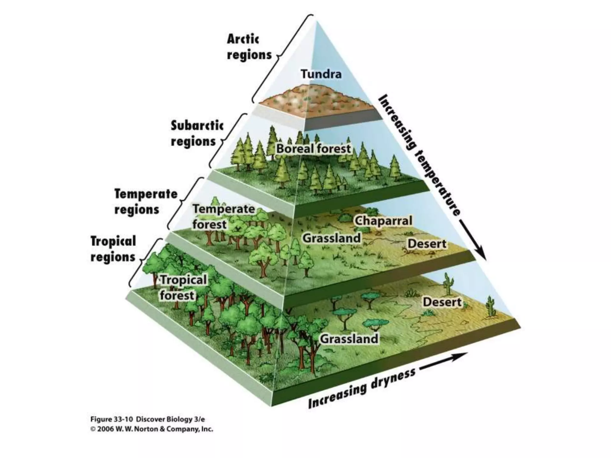 AP Environmental Science Biome book | PPTX | Geography | Science