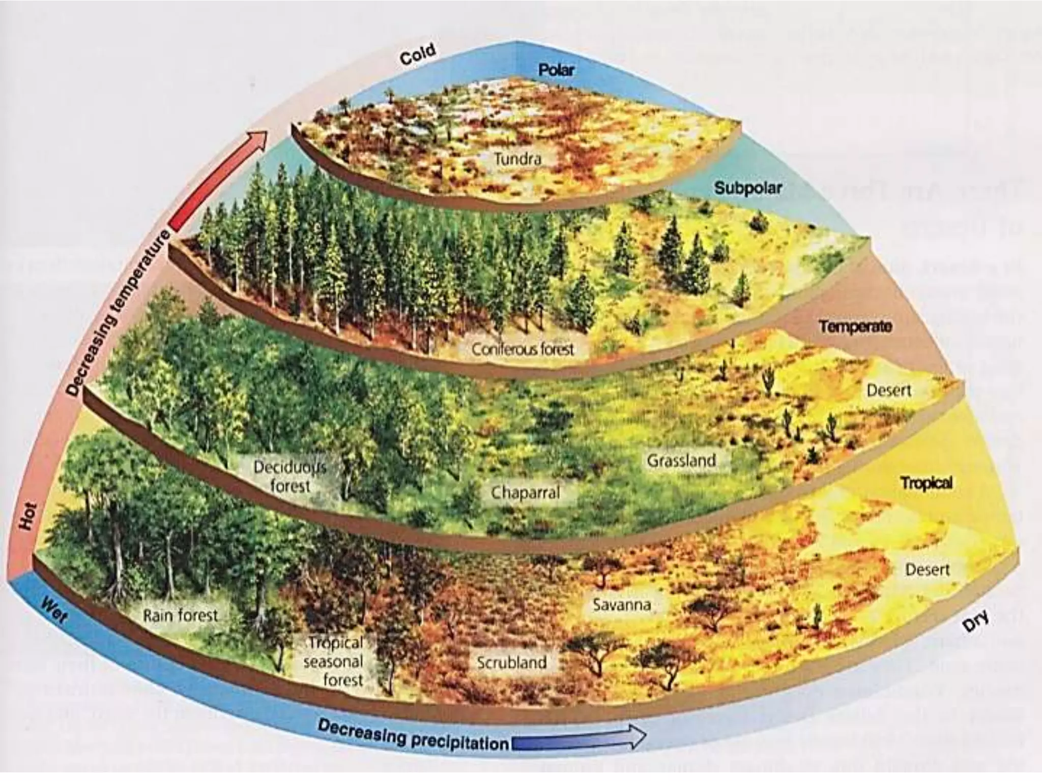 AP Environmental Science Biome book | PPTX | Geography | Science