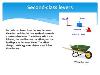 Biomechanic | PPTX | Death, Injury, or Military Conflict | Sensitive Topics