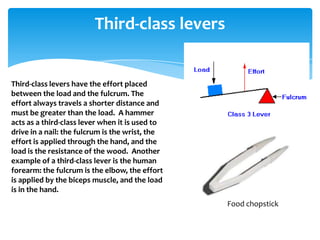 Biomechanic | PPTX | Death, Injury, or Military Conflict | Sensitive Topics