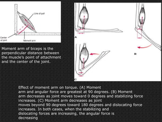 BIOMECAHNICS PRINCIPLES OF HUMAN MOTION.pptx