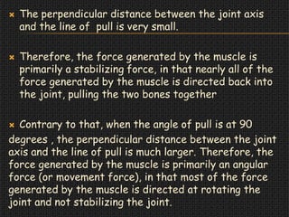BIOMECAHNICS PRINCIPLES OF HUMAN MOTION.pptx