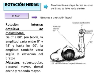Biomecaica del hombro resumen | PPT
