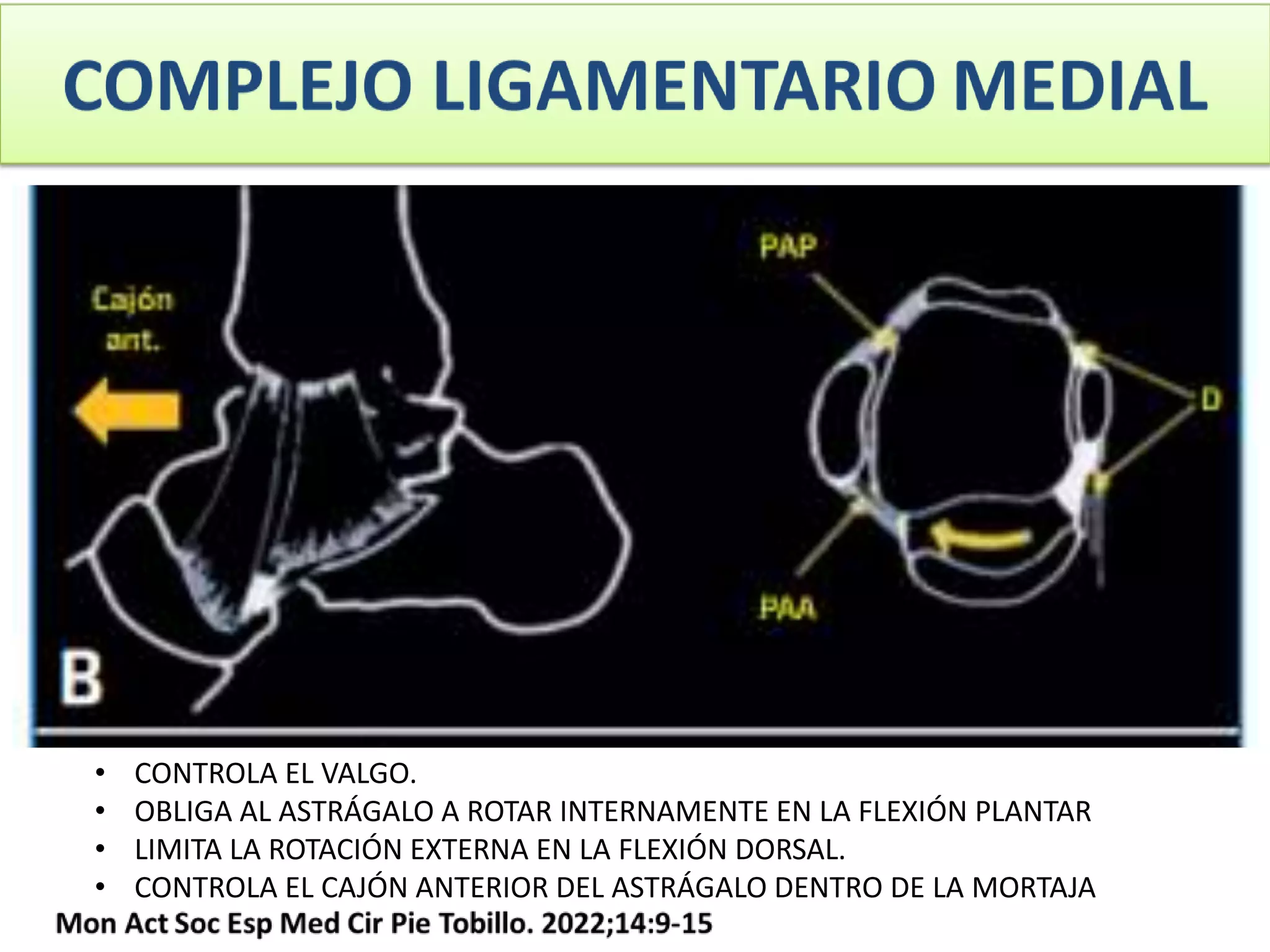 Biomecánica de pie y tobillo | PPTX | Foot Health | Diseases and Conditions