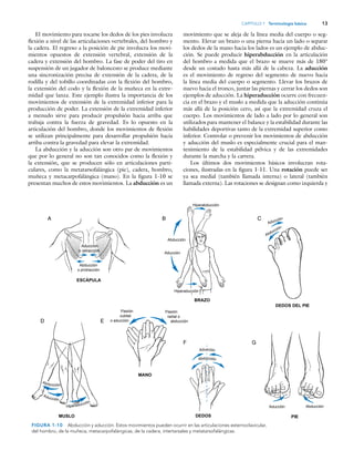 Biomecánica. Bases del movimiento. 4ta edición (1).pdf