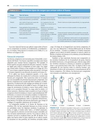 Biomecánica. Bases del movimiento. 4ta edición (1).pdf