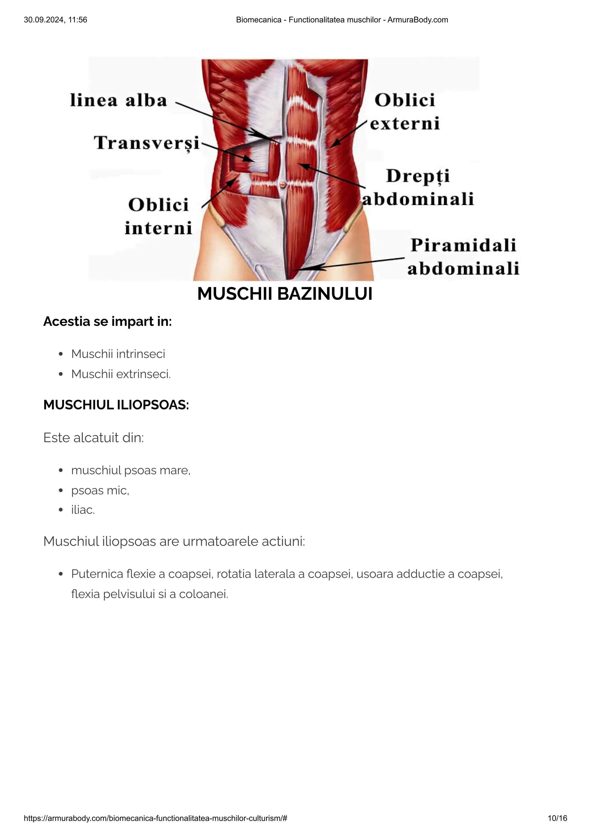 Biomecanica - Functionalitatea muschilor - ArmuraBody.com.pdf