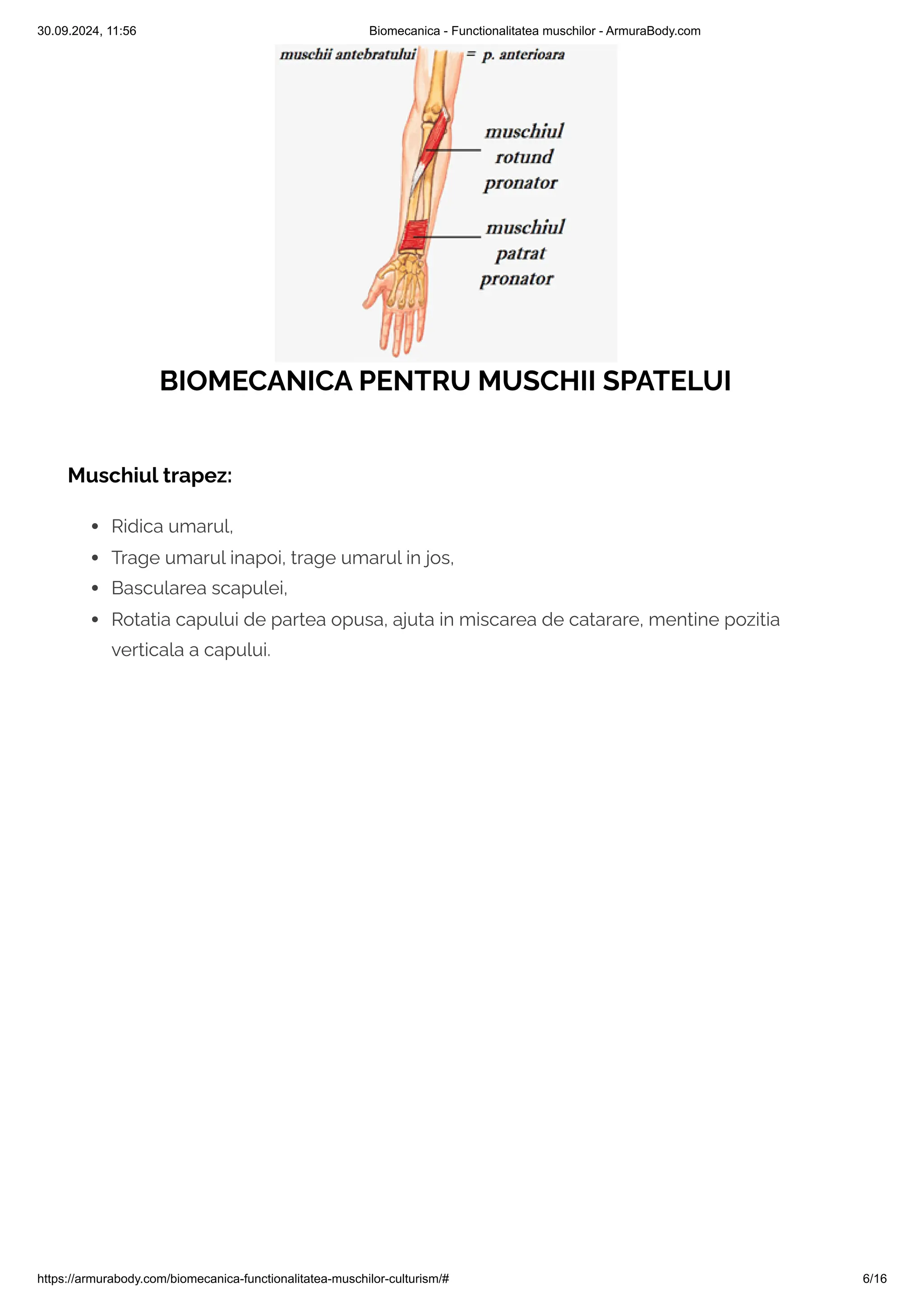 Biomecanica - Functionalitatea muschilor - ArmuraBody.com.pdf