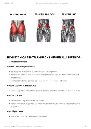 Biomecanica - Functionalitatea muschilor - ArmuraBody.com.pdf