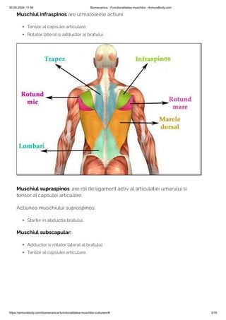 Biomecanica - Functionalitatea muschilor - ArmuraBody.com.pdf