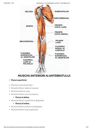 Biomecanica - Functionalitatea muschilor - ArmuraBody.com.pdf