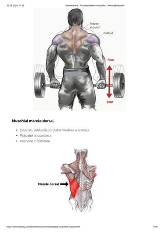 Biomecanica - Functionalitatea muschilor - ArmuraBody.com.pdf