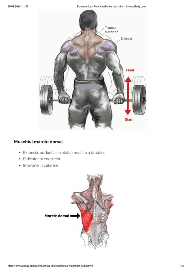 Biomecanica - Functionalitatea muschilor - ArmuraBody.com.pdf