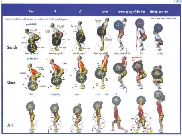Técnica del Levantamiento de Pesas