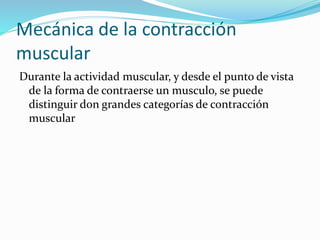 Biomecanica 6 | PPTX