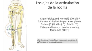Biomecanica De Rodilla Clase de la biomecánica | PPTX