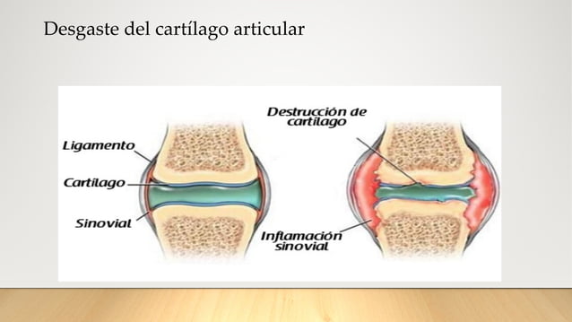 BIOMECANICA CARTILAGO ARTICULAR.pdf