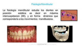 Biomecanica Clase mandibular y maxilar en humanos | PDF