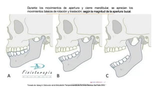 Biomecanica Clase mandibular y maxilar en humanos | PDF