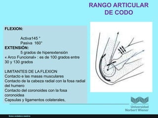 BIOMECANICA_CODO_ANTEBRAZO_converted.pptx