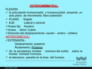 BIOMECANICA_CODO_ANTEBRAZO_converted.pptx