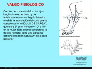 BIOMECANICA_CODO_ANTEBRAZO_converted.pptx