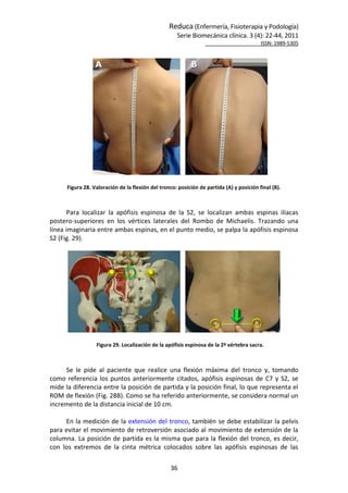 Biomecanica da coluna vertebral | PDF