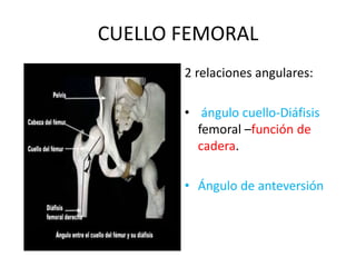 Biomecanica_de_cadera.pptx