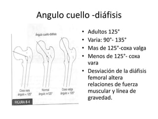Biomecanica_de_cadera.pptx
