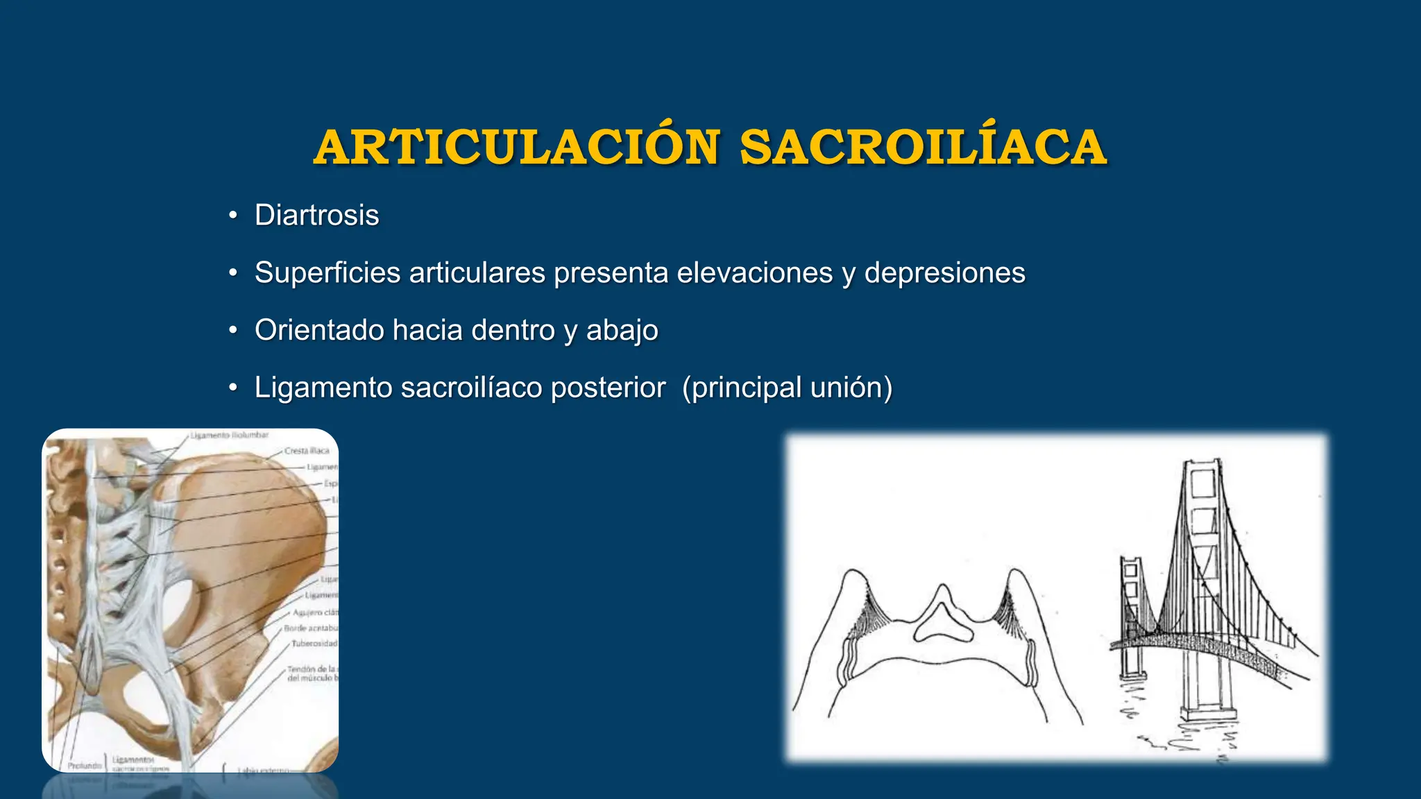 BIOMECANICA de cadera y pelvis lyneth_065207.pptx
