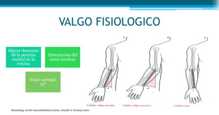 LA BIOMECANICA DE CODO Y SU ESTUDIO.pptx