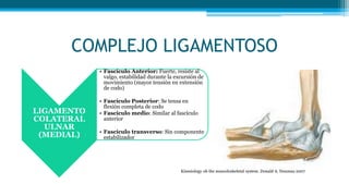 LA BIOMECANICA DE CODO Y SU ESTUDIO.pptx