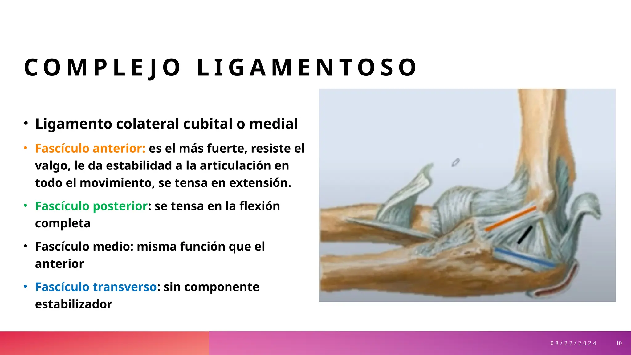 biomecanica de codo. medicina en salpptx | PPT