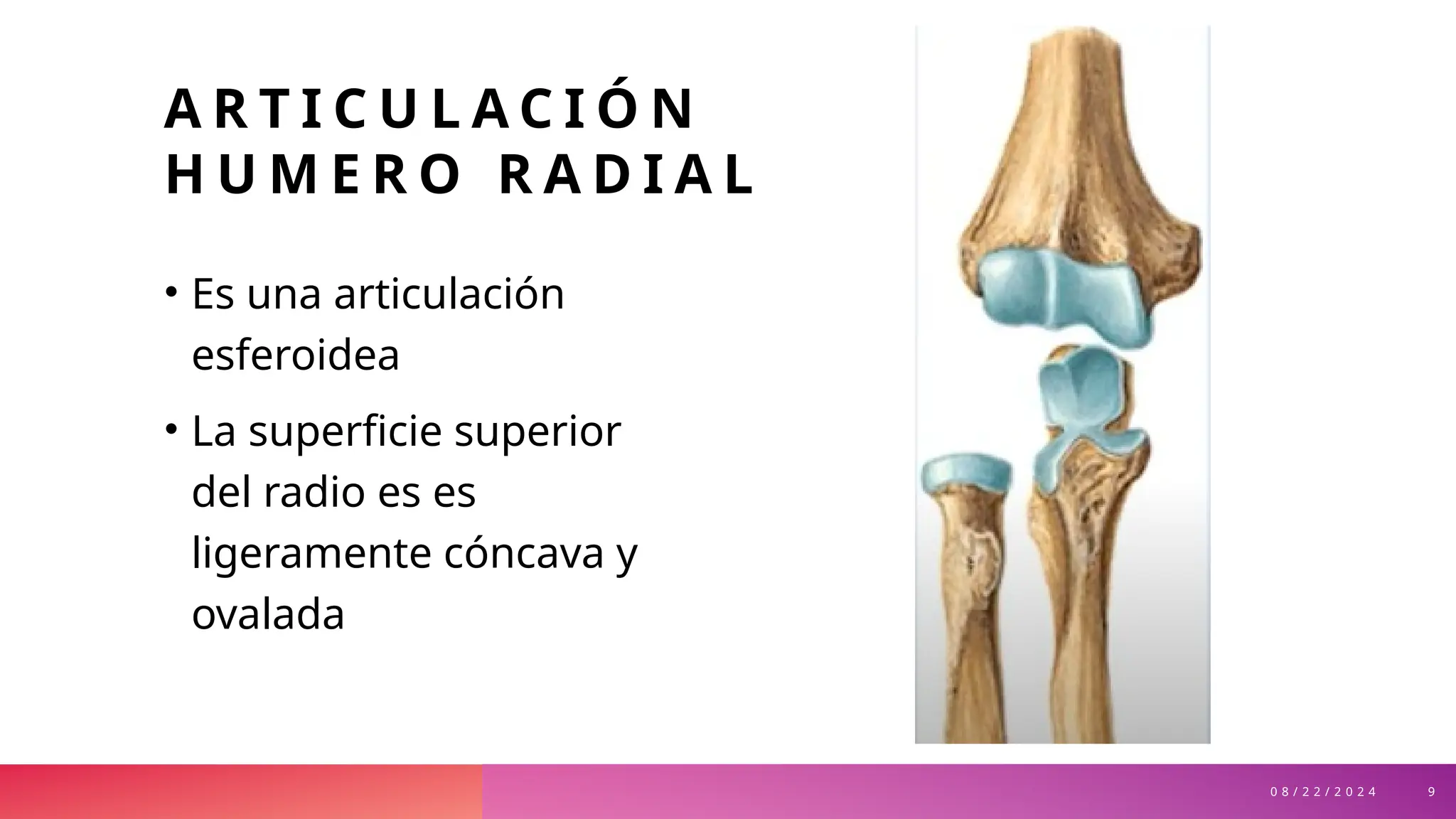 biomecanica de codo. medicina en salpptx | PPT