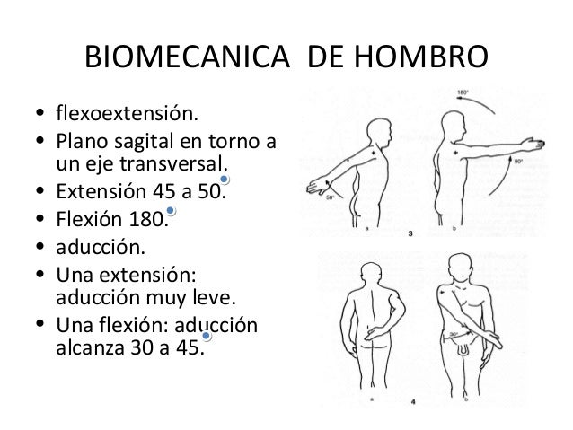 Flexion Y Extension De Hombro