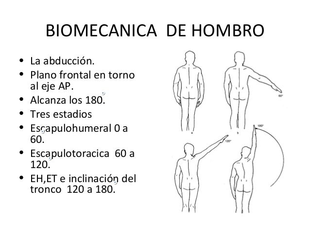 Biomecanica de hombro 2