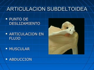 Biomecanica de humero | PPT