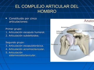 Biomecanica de humero | PPT